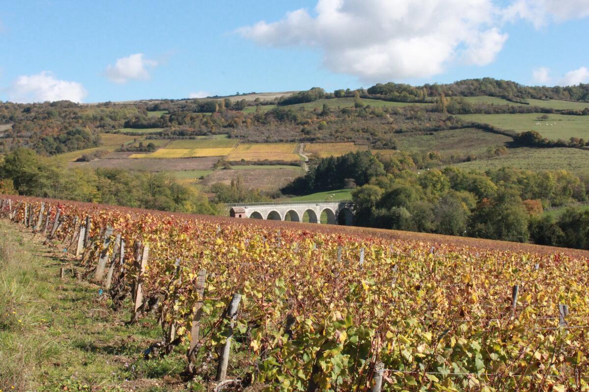 Balade de Nolay (Nolay) | Beaune and the Beaune region Tourism - Burgundy