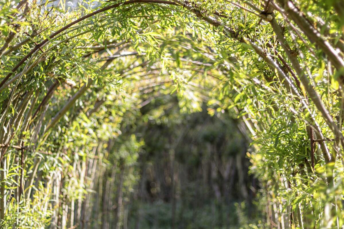 Le Village du Saule (Braives) | Maison du Tourisme Terres-de-Meuse