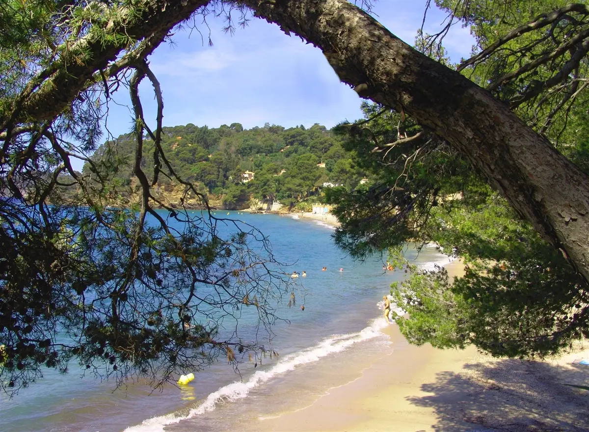 Plage du Rayol (Rayol-Canadel-sur-Mer) | Provence-Alpes-Côte d'Azur Tourism