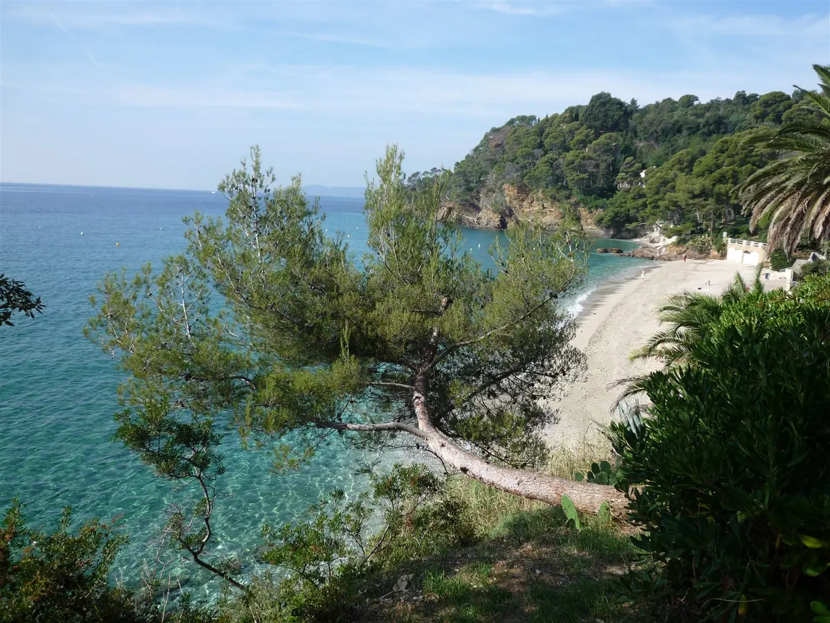 Plage du Rayol (Rayol-Canadel-sur-Mer) | Provence-Alpes-Côte d'Azur Tourism