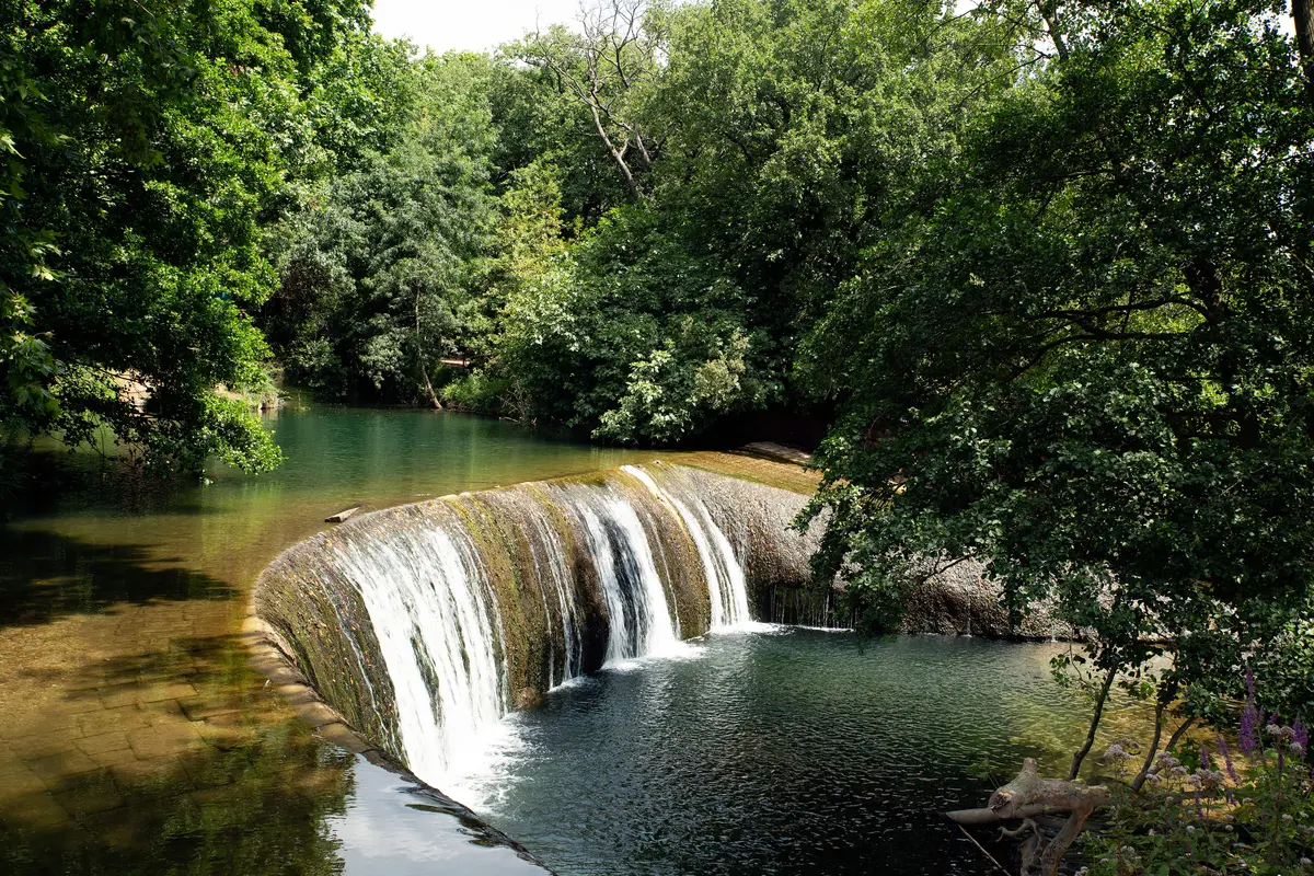 Domaine de la Castille (Solliès-Ville) | Provence-Alpes-Côte d'Azur Tourism