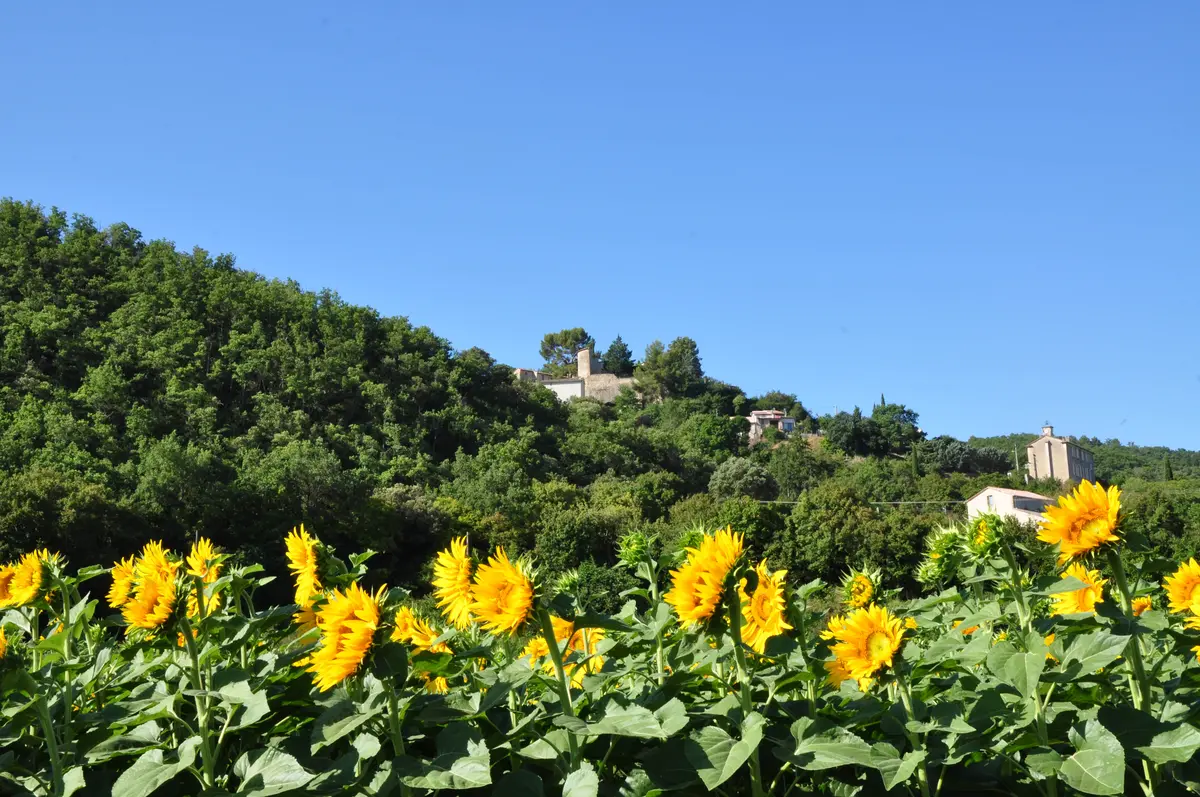 Brunet (Brunet) | Provence-Alpes-Côte d'Azur Tourism