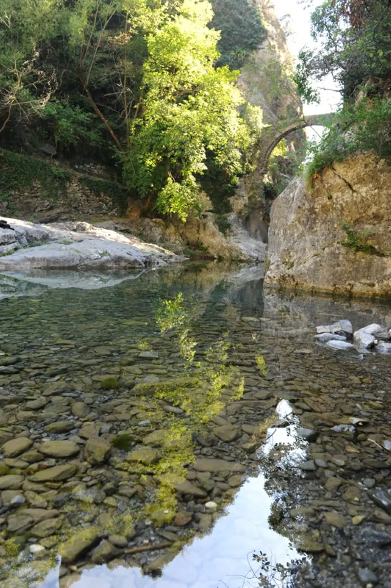 Natura 2000 : La Bendola (Saorge) | Provence-Alpes-Côte d'Azur Tourisme
