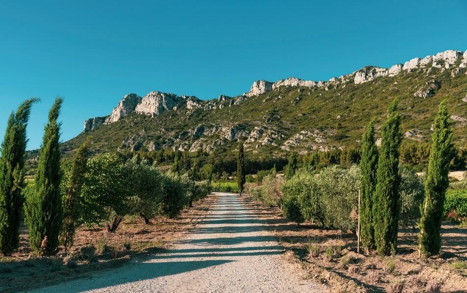 Immersion dans un domaine provençal (Marseille) | Provence-Alpes-Côte d ...