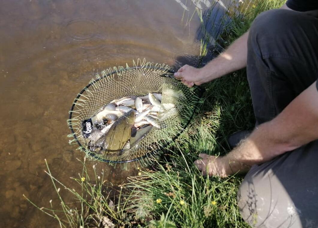 Pêche au coup : Lacustra (Flayat) | Tourisme Creuse Limousin