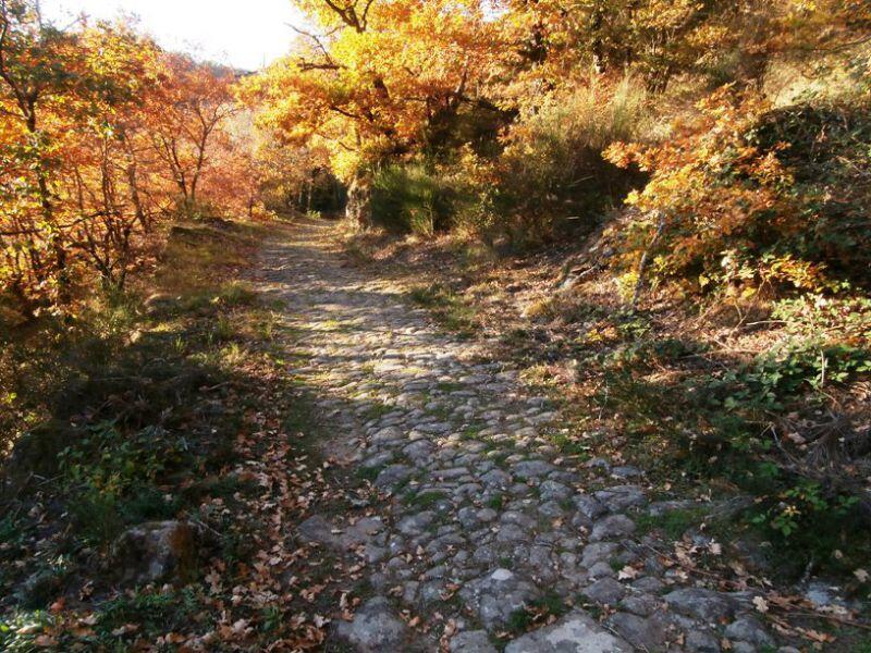 Circuit Uni’Vert Trail n°3 « Via Agrippa » (Saint-auvent) | Limousin ...