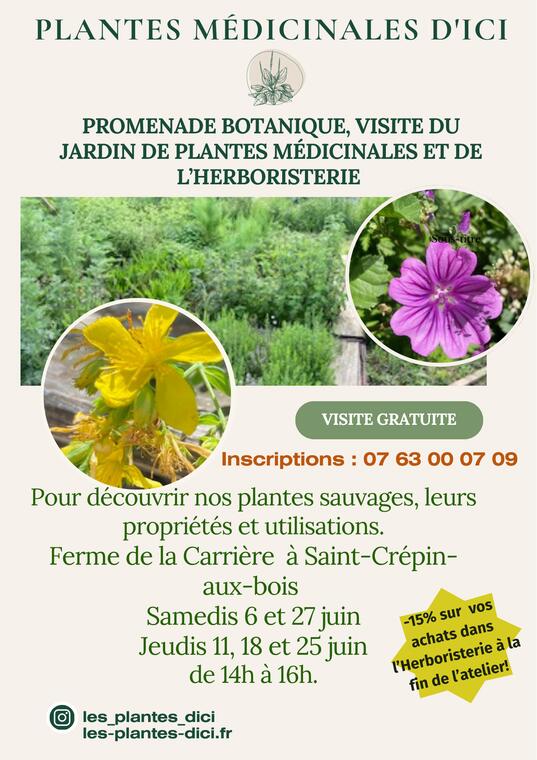 Promenade botanique | Plantes médicinales d’ici (Saint-Crépin-aux-Bois ...
