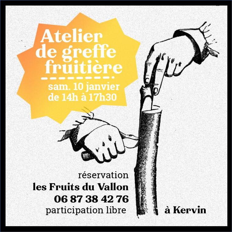 Atelier de greffe fruitière (Le Palais) | Belle-Île-en-Mer Tourist ...