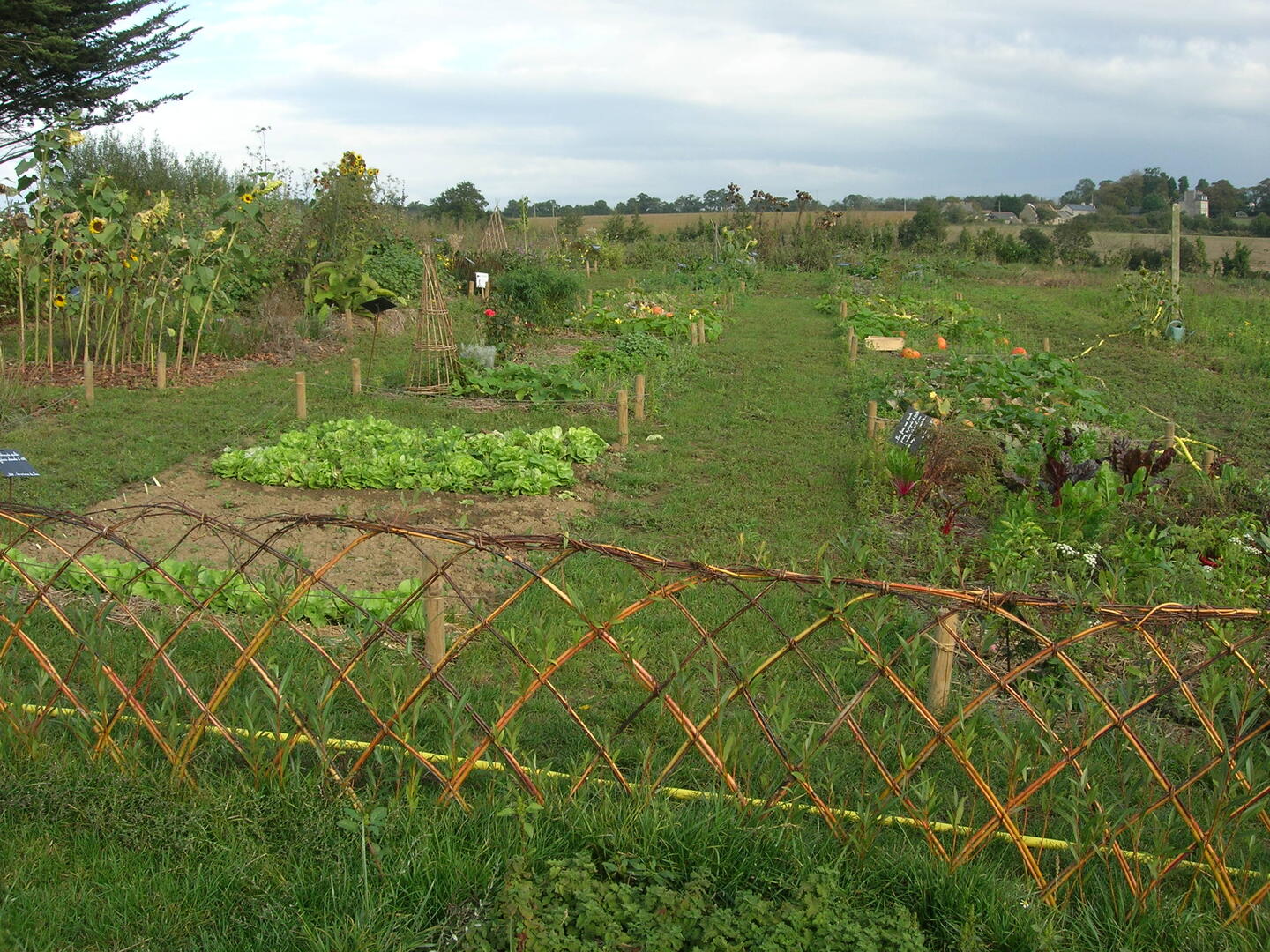 Potager médiéval Herbarius - Parc et jardin - Lamballe-Armor | Office ...