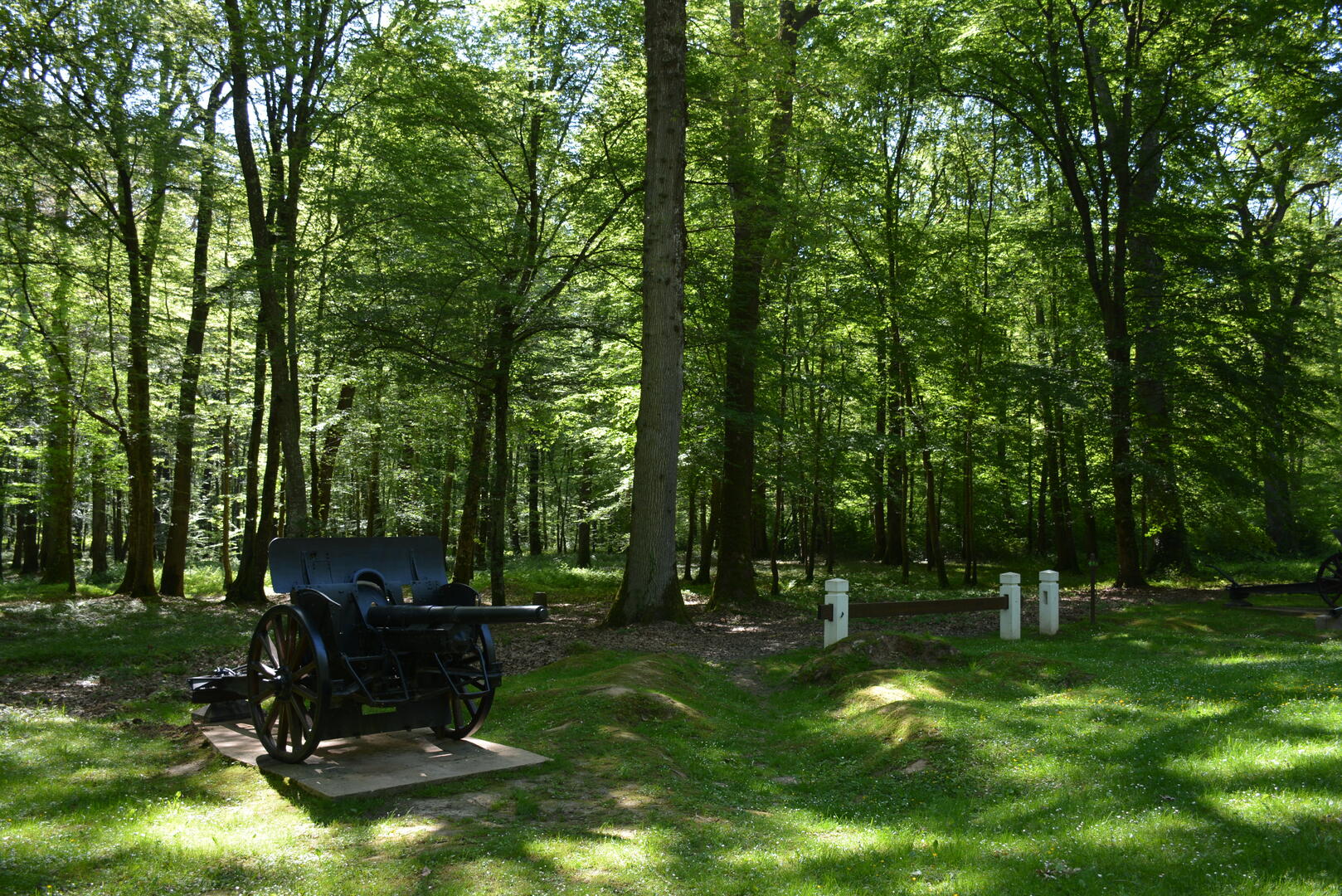 Visite guidée « Sur les traces des combats du Bois de Belleau ...