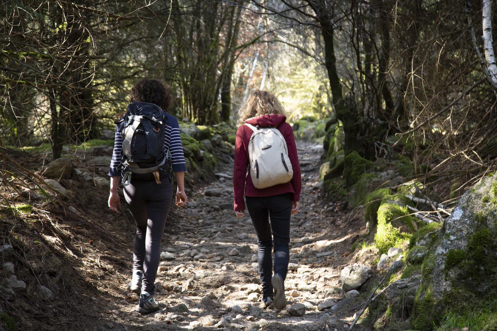 L’hivernal du lac : randonnée (Beaumont-du-lac) | Tourisme Creuse Limousin