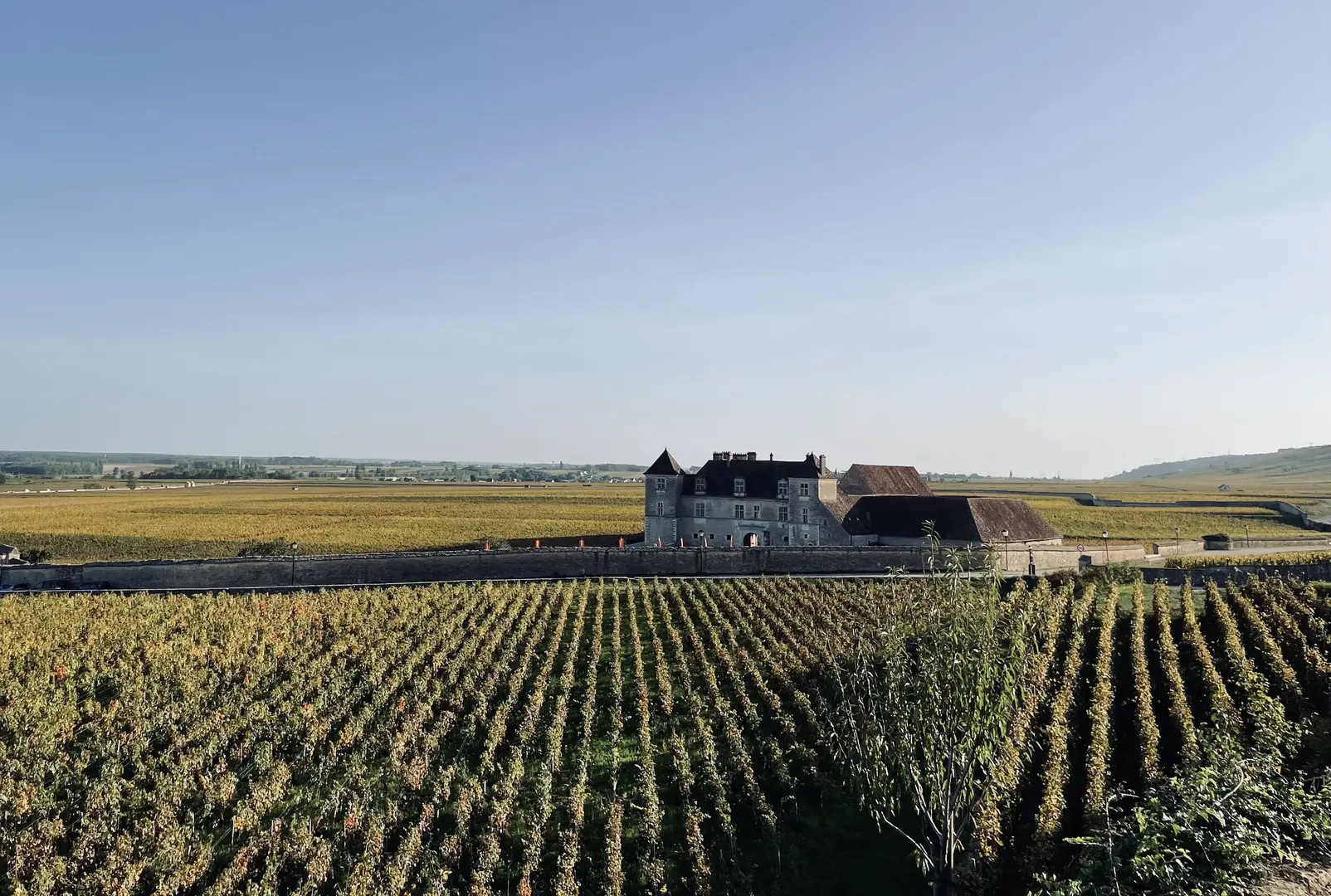 Safari Tours – Tour n°8 Côte de Nuits – Côte de Beaune (Beaune ...