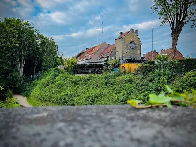 El Montuno (Tourcoing) | Office de Tourisme de Lille