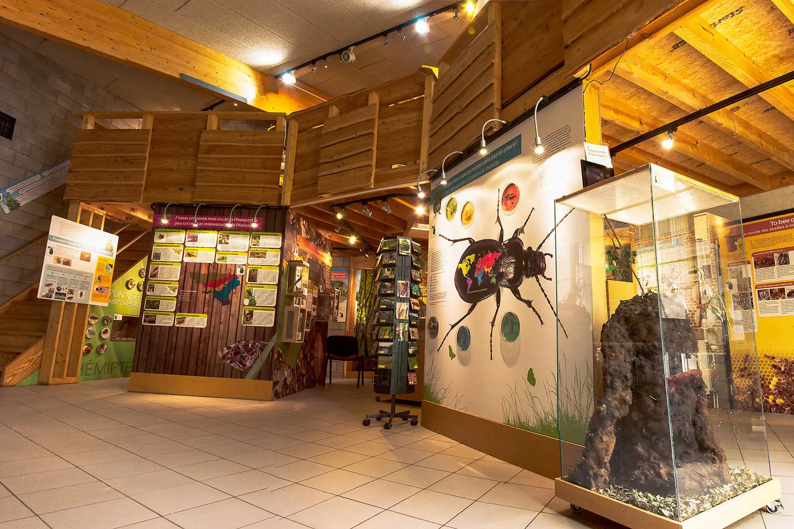 Hexapoda – Insectarium Jean Leclercq (Waremme) | Maison du Tourisme ...