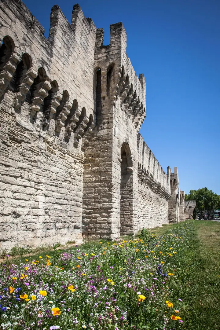 Ramparts around the walled city of Avignon (Avignon) | Provence-Alpes ...