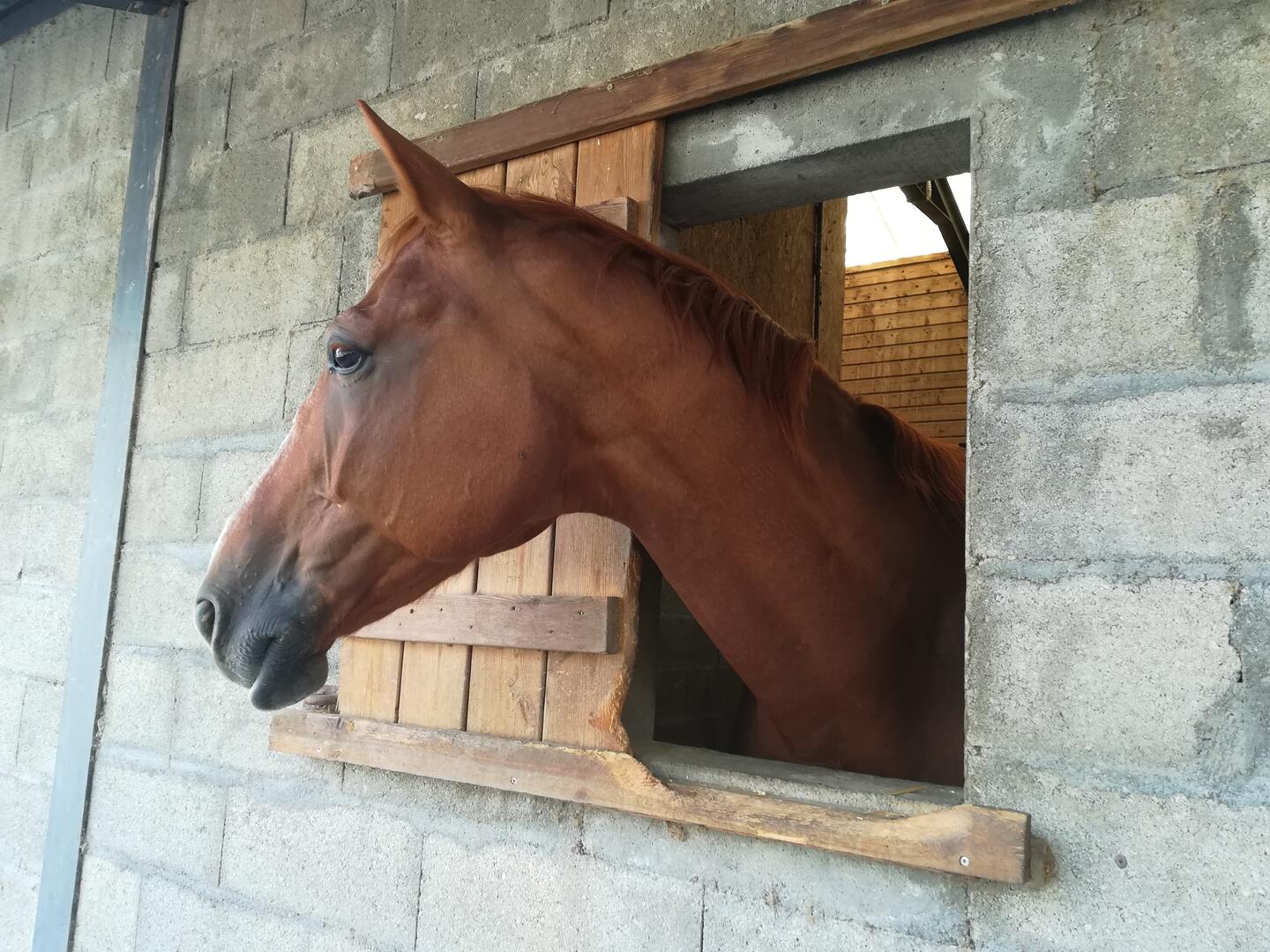 Les Écuries des Fiz (Saint-Gervais-les-Bains) | Saint-Gervais Mont ...