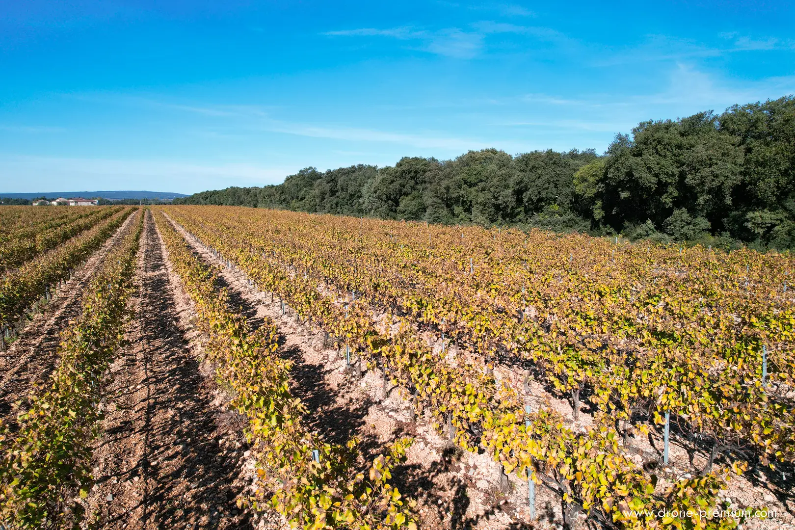 Domaine de la Damase (Violès) | Provence-Alpes-Côte d'Azur Tourisme