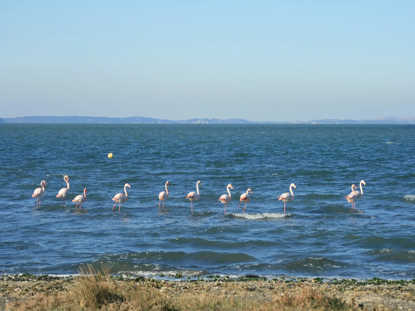 Quartier du Jaï (Marignane) | Provence-Alpes-Côte d'Azur Tourisme