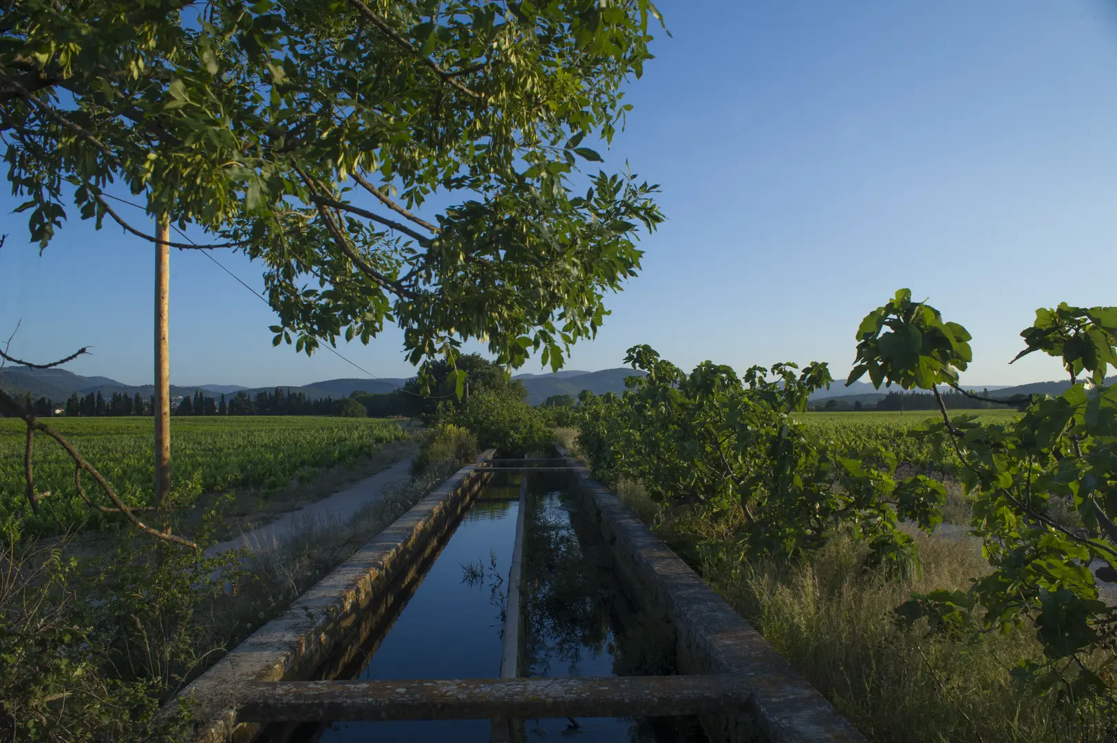 Chateau La Castille (La Crau) | Provence-Alpes-Côte d'Azur Tourisme