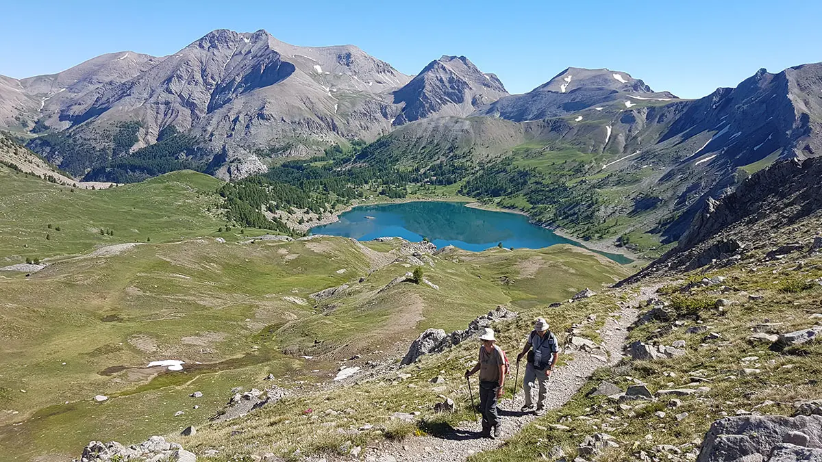 Balade La faune sauvage du Mercantour (Allos) | Provence-Alpes-Côte d ...