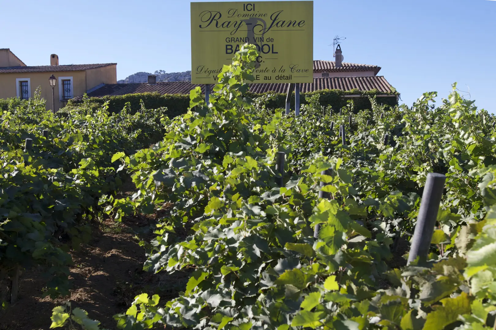 Domaine Ray Jane (Le Castellet) | Provence-Alpes-Côte d'Azur Tourisme