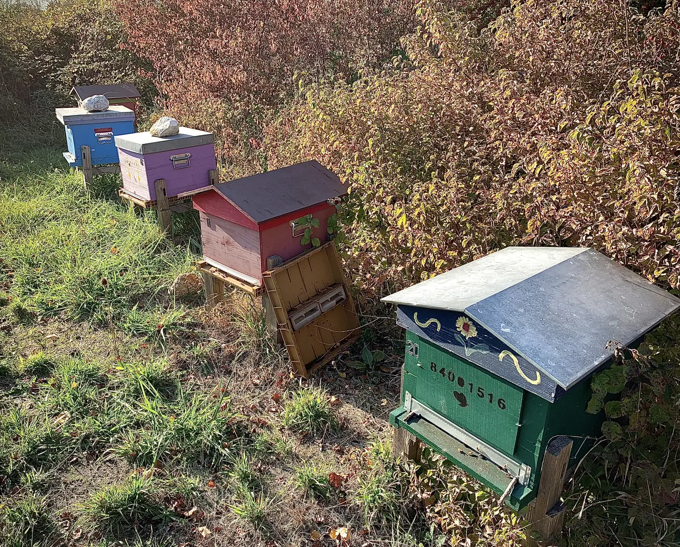 Le Rucher de la Passion (Caderousse) | Provence-Alpes-Côte d'Azur Tourisme