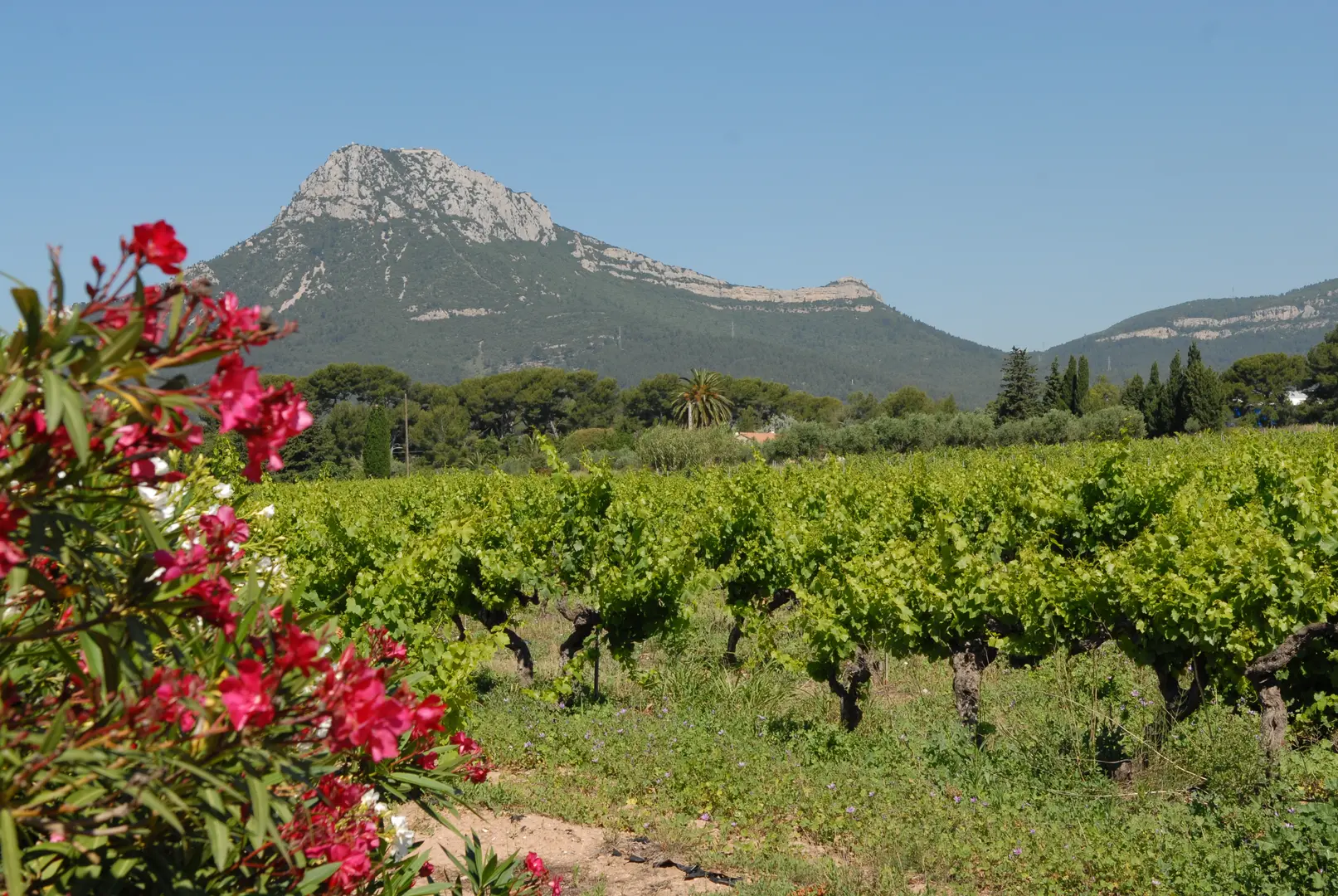 Domaine Bouisse-Matteri (Hyères) | Provence-Alpes-Côte d'Azur Tourisme
