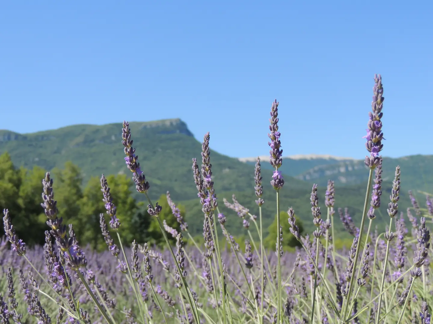 La vallée du Jabron (Les Omergues) | Provence-Alpes-Côte d'Azur Tourisme
