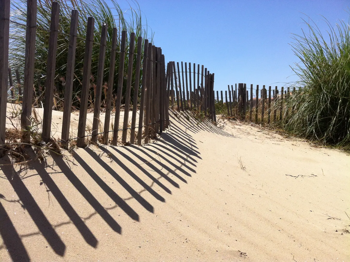 Plage Miramar (La Londe-les-Maures) | Provence-Alpes-Côte d'Azur Tourisme