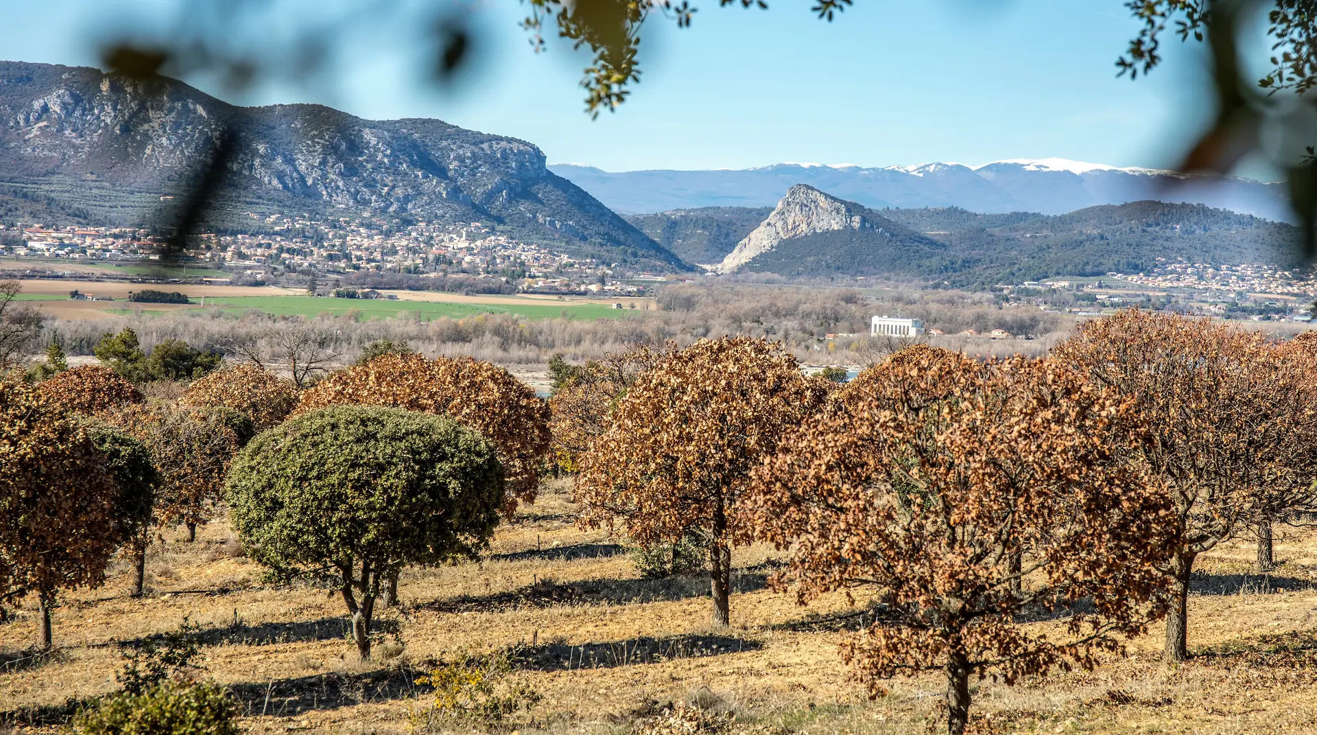 Volx (Volx) | Provence-Alpes-Côte d'Azur Tourisme