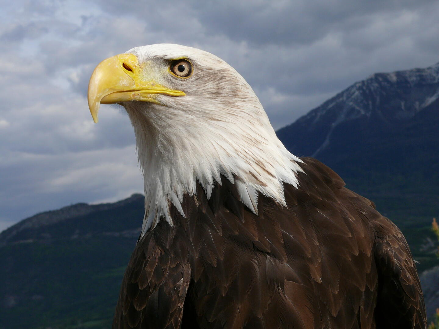 Parc Animalier de Serre-Ponçon (Le Sauze-du-Lac) | Provence-Alpes-Côte ...