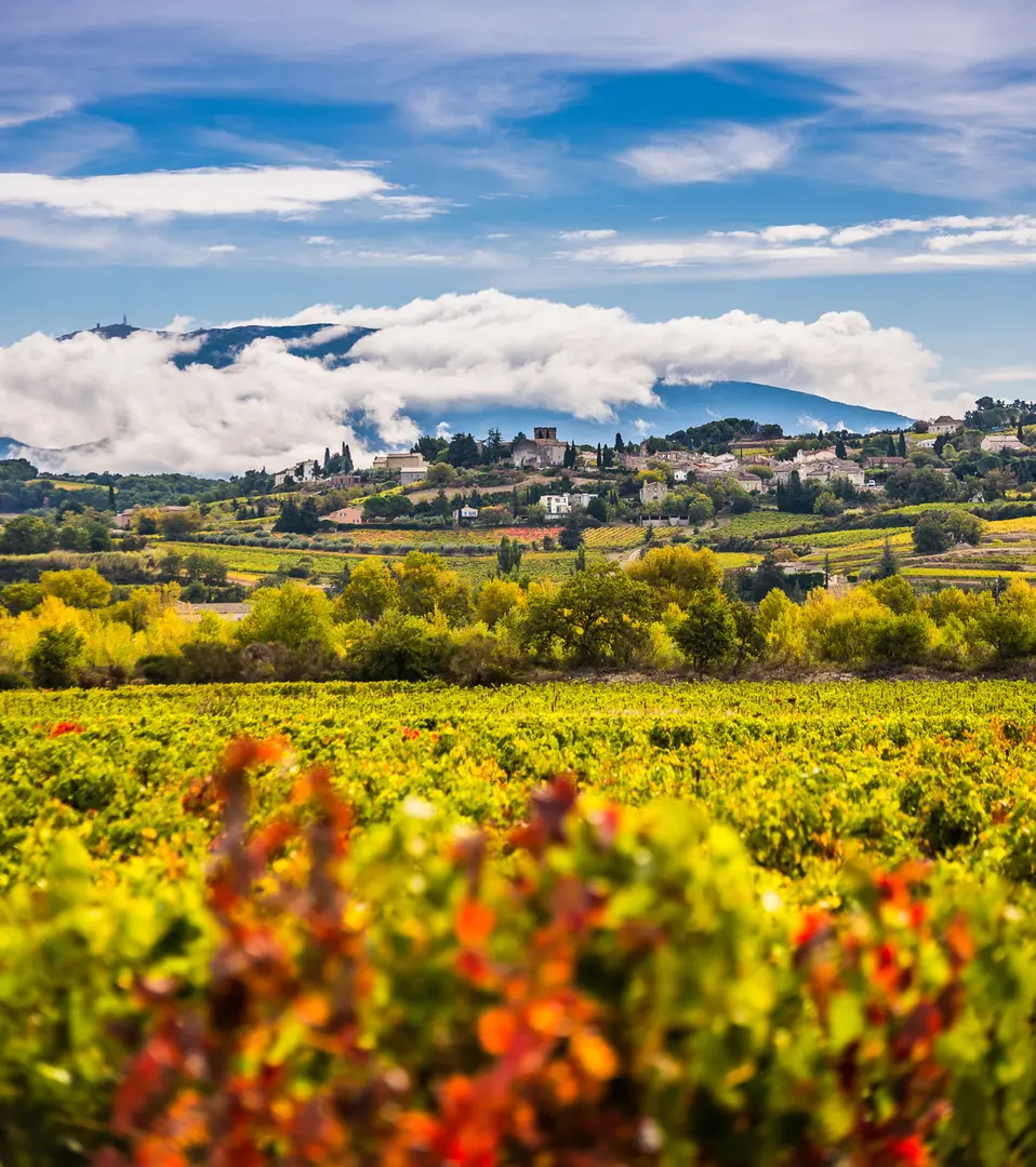 Village de Villedieu (Villedieu) | Provence-Alpes-Côte d'Azur Tourism