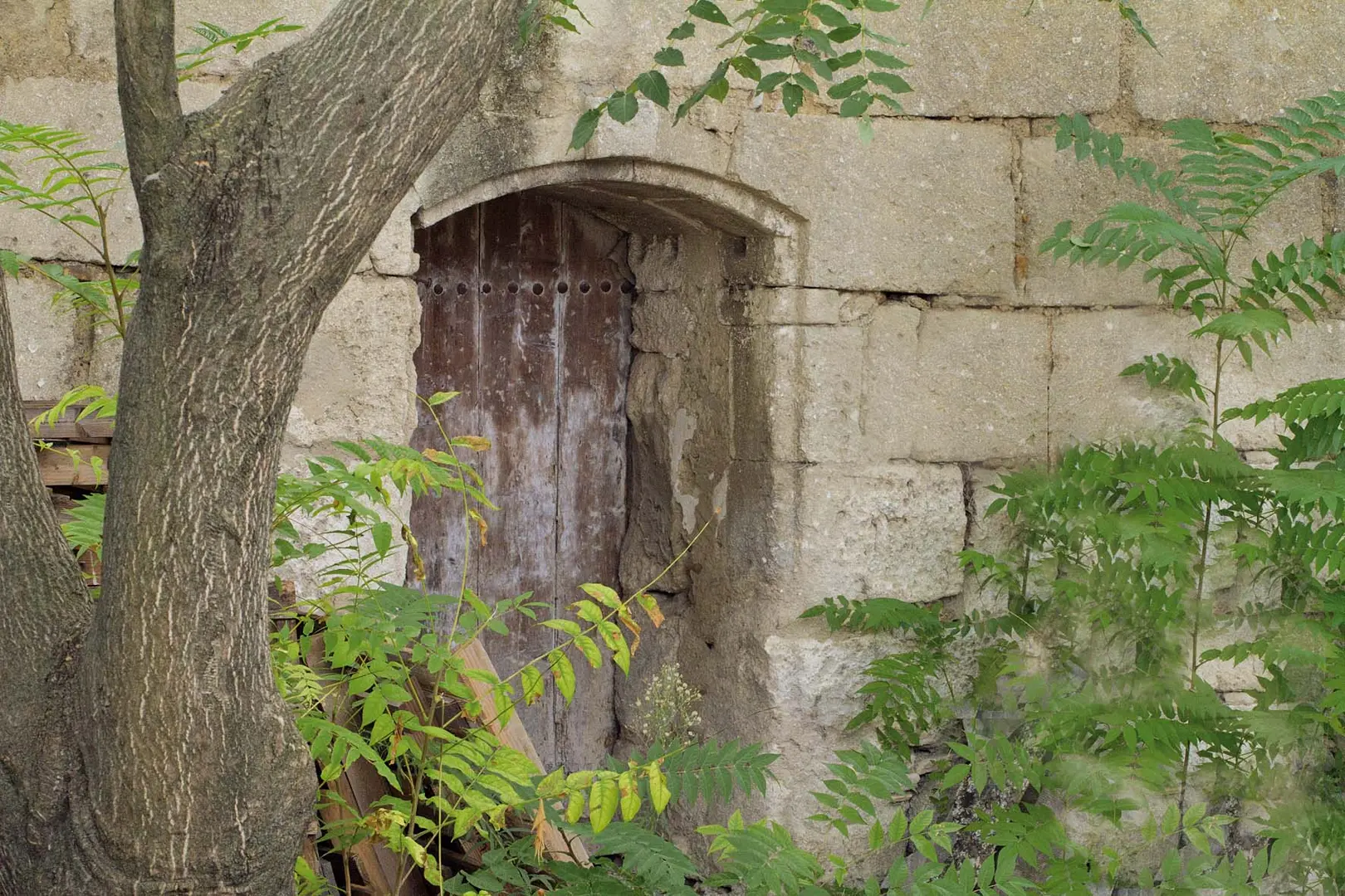 13DIV000583 (Eyragues) | Provence-Alpes-Côte d'Azur Tourism