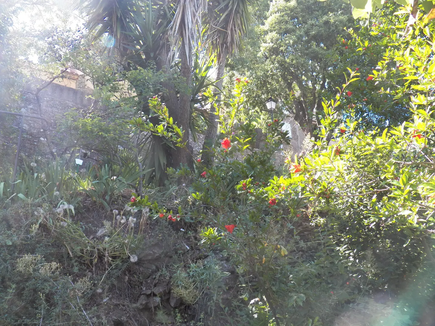 Jardin botanique remarquable l’Hardy-Denonain (Gassin) | Provence-Alpes ...