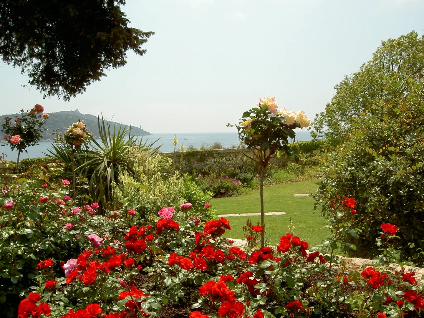 Jardins de la Citadelle Saint-Elme (Villefranche-sur-Mer) | Provence-Alpes-Côte d'Azur Tourisme
