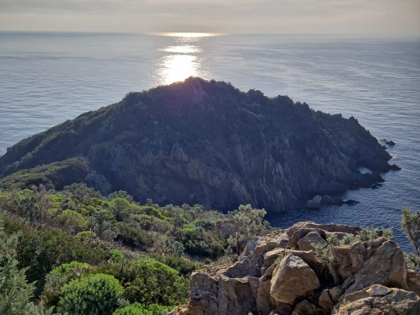 Cap Lardier (La Croix-Valmer) | Provence-Alpes-Côte d'Azur Tourisme