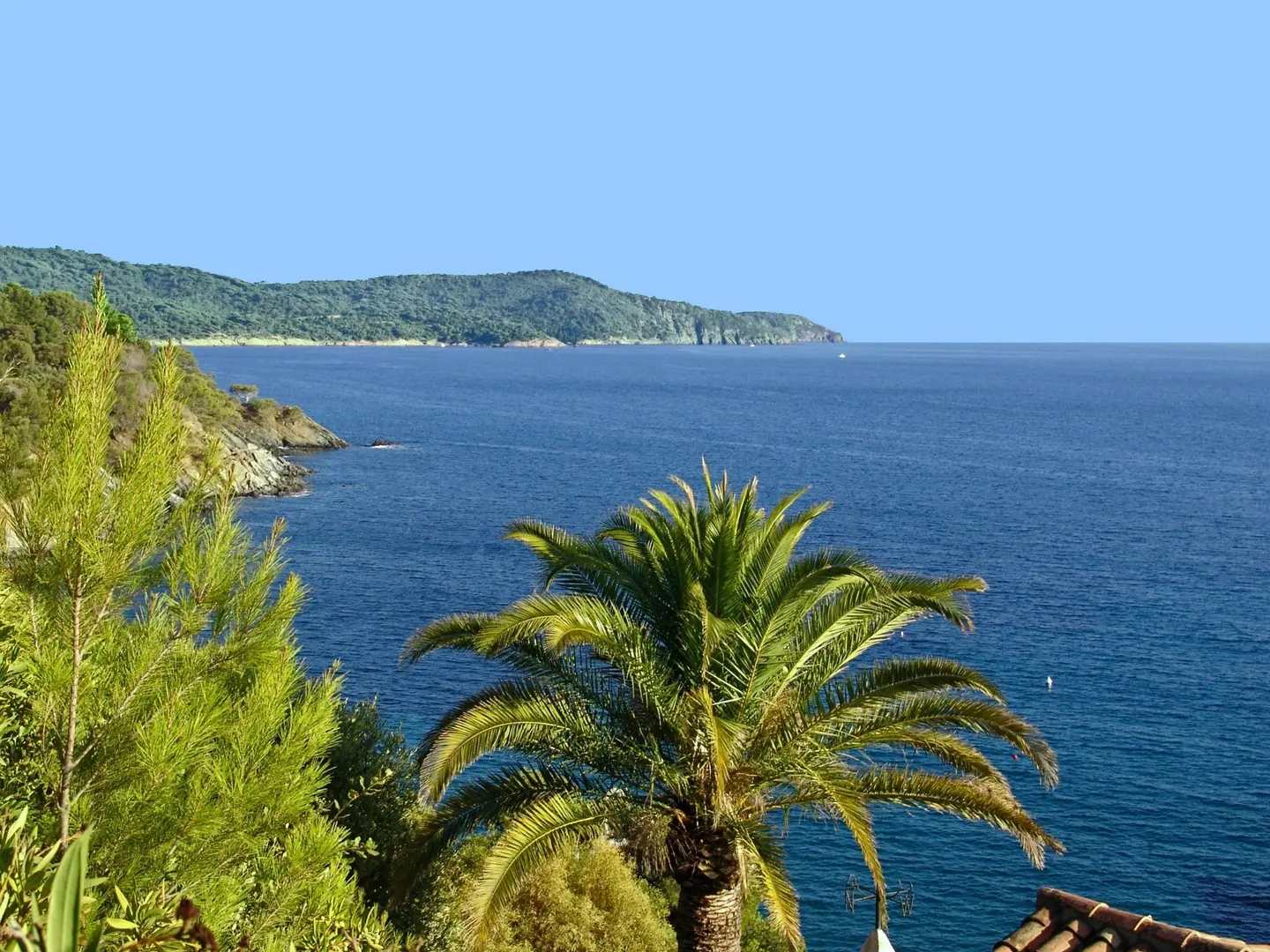 Cap Lardier (La Croix-Valmer) | Provence-Alpes-Côte d'Azur Tourisme