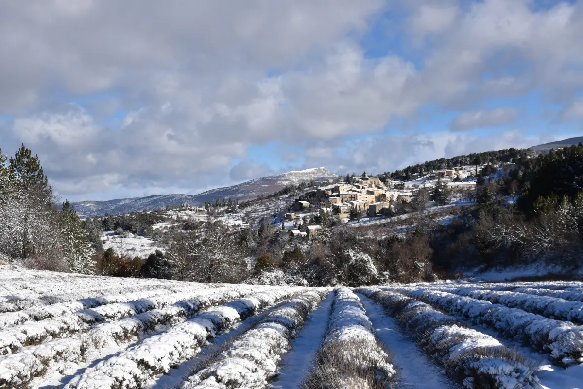 Le Pays de Sault (Sault) | Provence-Alpes-Côte d'Azur Tourisme