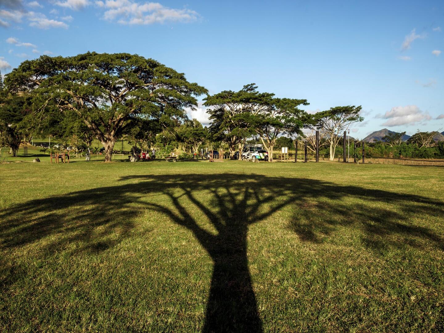 Parc public Thérèse et Louis Soury-Lavergne (La Foa) | Sud Tourisme ...