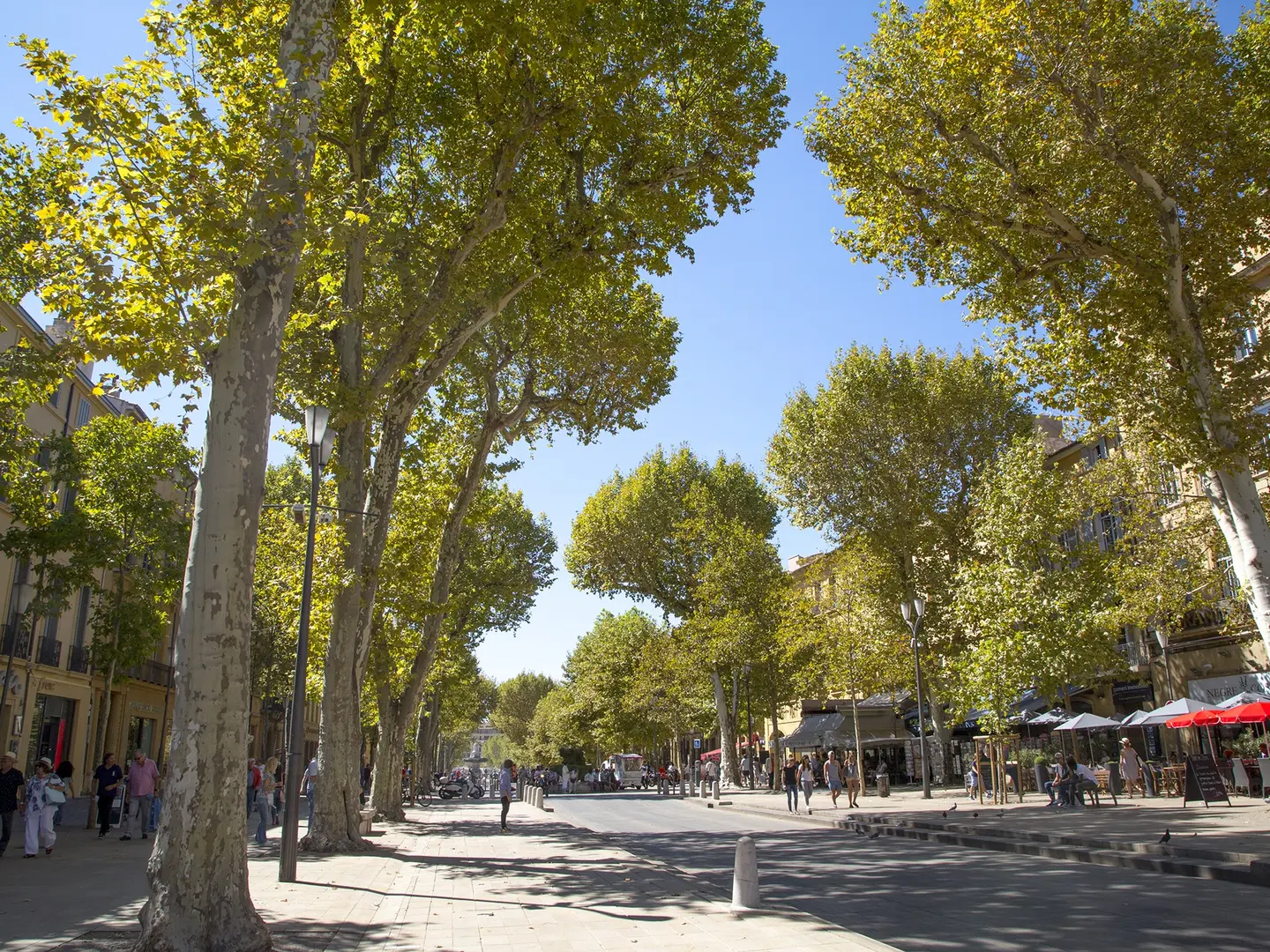 The Cours Mirabeau (Aix-en-Provence) | Provence-Alpes-Côte d'Azur Tourism