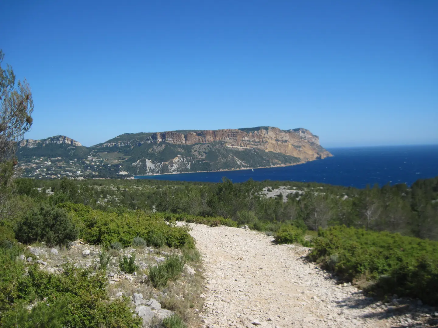Cap Canaille (Cassis) | Marseille Tourism