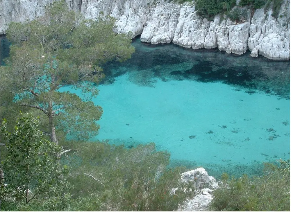 Les Calanques (Marseille 8ème) | Office de Tourisme de Marseille