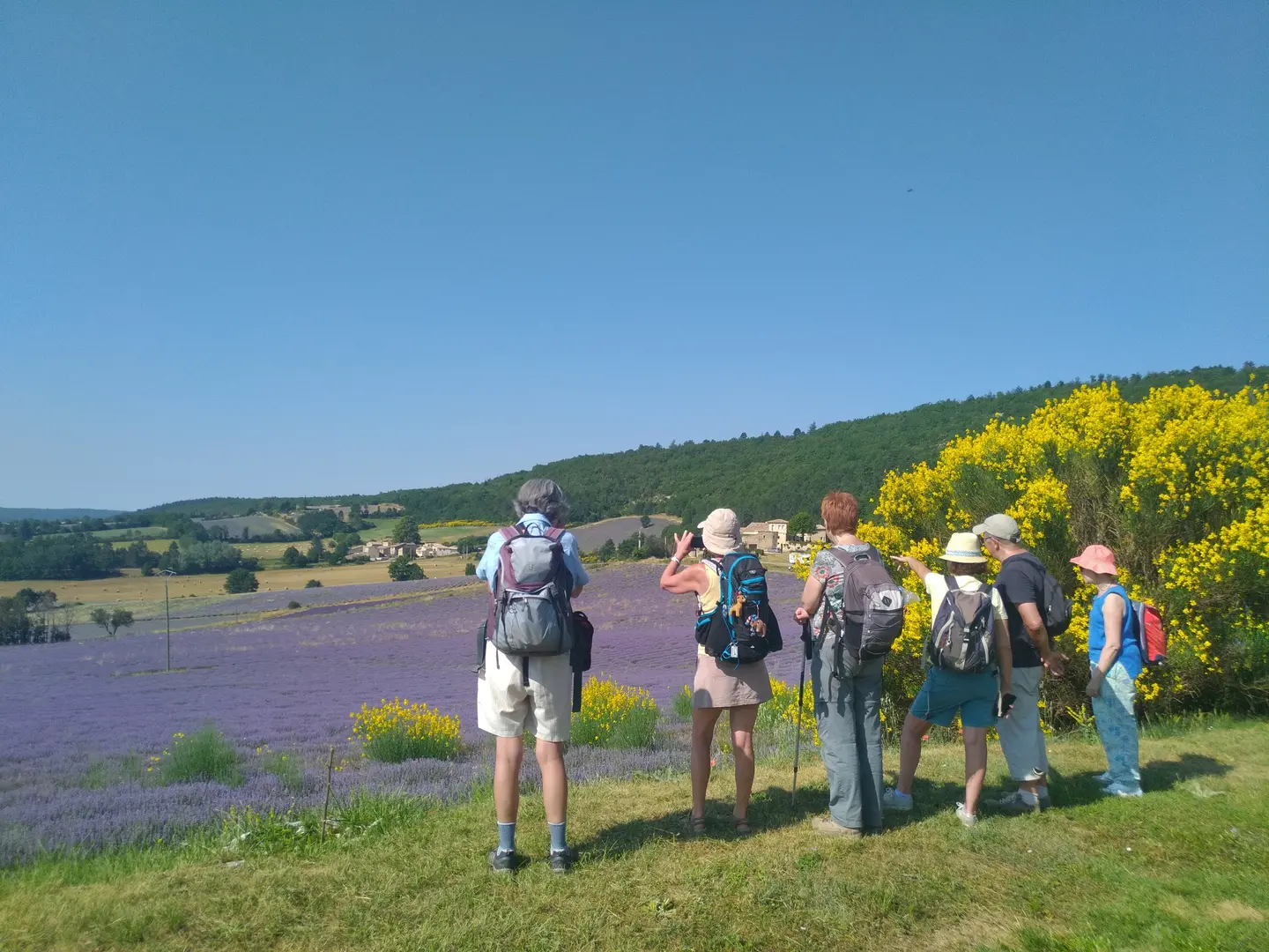 The Chemin des Lavandes (Lavender Path) (Orange) | Provence-Alpes-Côte ...