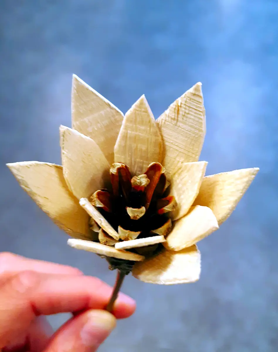 Au labo du Château : Fleurs des bois (Sallanches) | Haute-Savoie Mont-Blanc