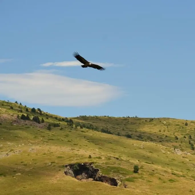 EXCURSION VERS LE CANIGO EN 4X4 AVEC PASSCANIGO (Prades) | Tourisme ...