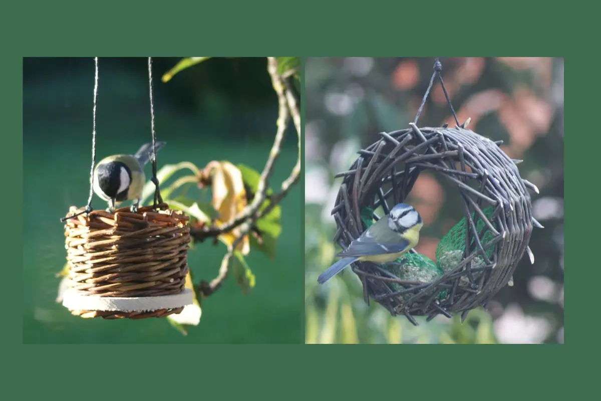 Stage de vannerie adulte | Créez deux mangeoires à oiseaux en osier ...