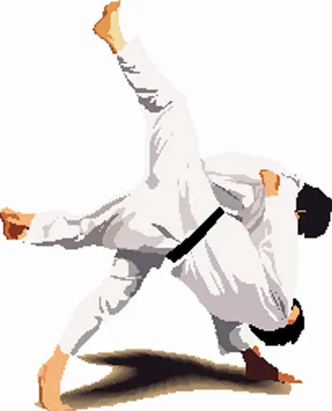 Découverte Judo (Mussidan) | Dordogne Périgord Tourisme