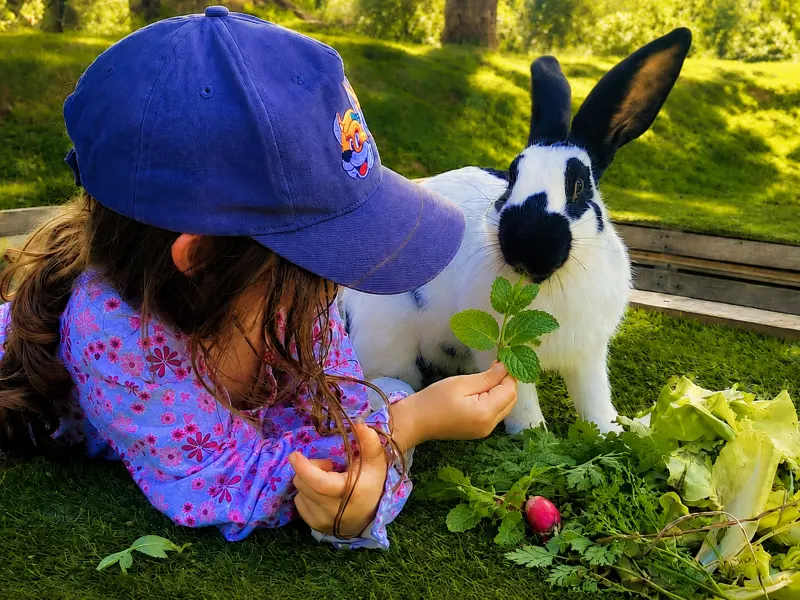Atelier : Les secrets de l’herboriste des animaux : 5 – 12 ans ...