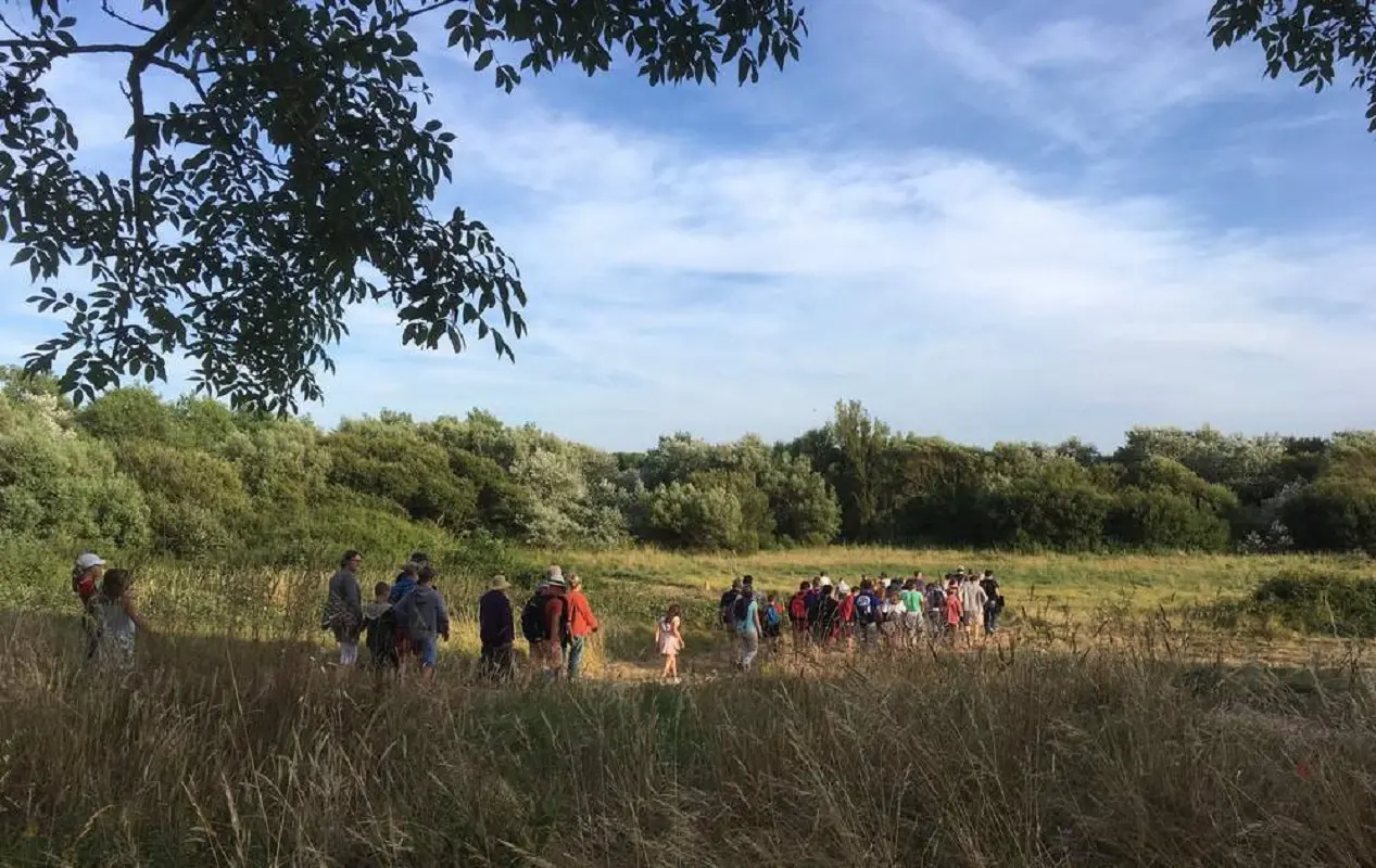 Balade nature – La Torche depuis Tronoën – Hotspot de biodiversité ...