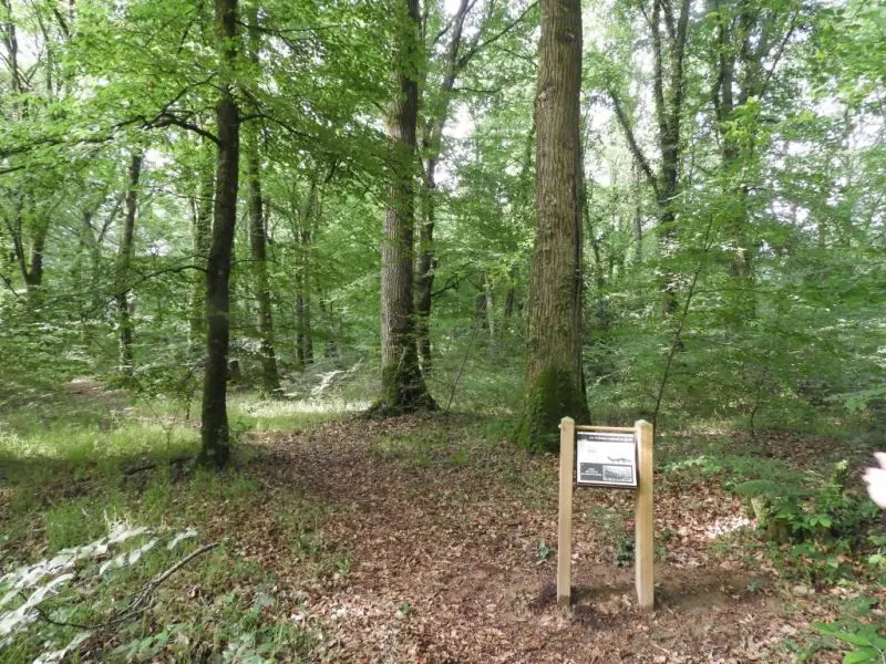 Sentier de découverte : Les bateaux naissent en forêt (Mesnil-Roc’h ...